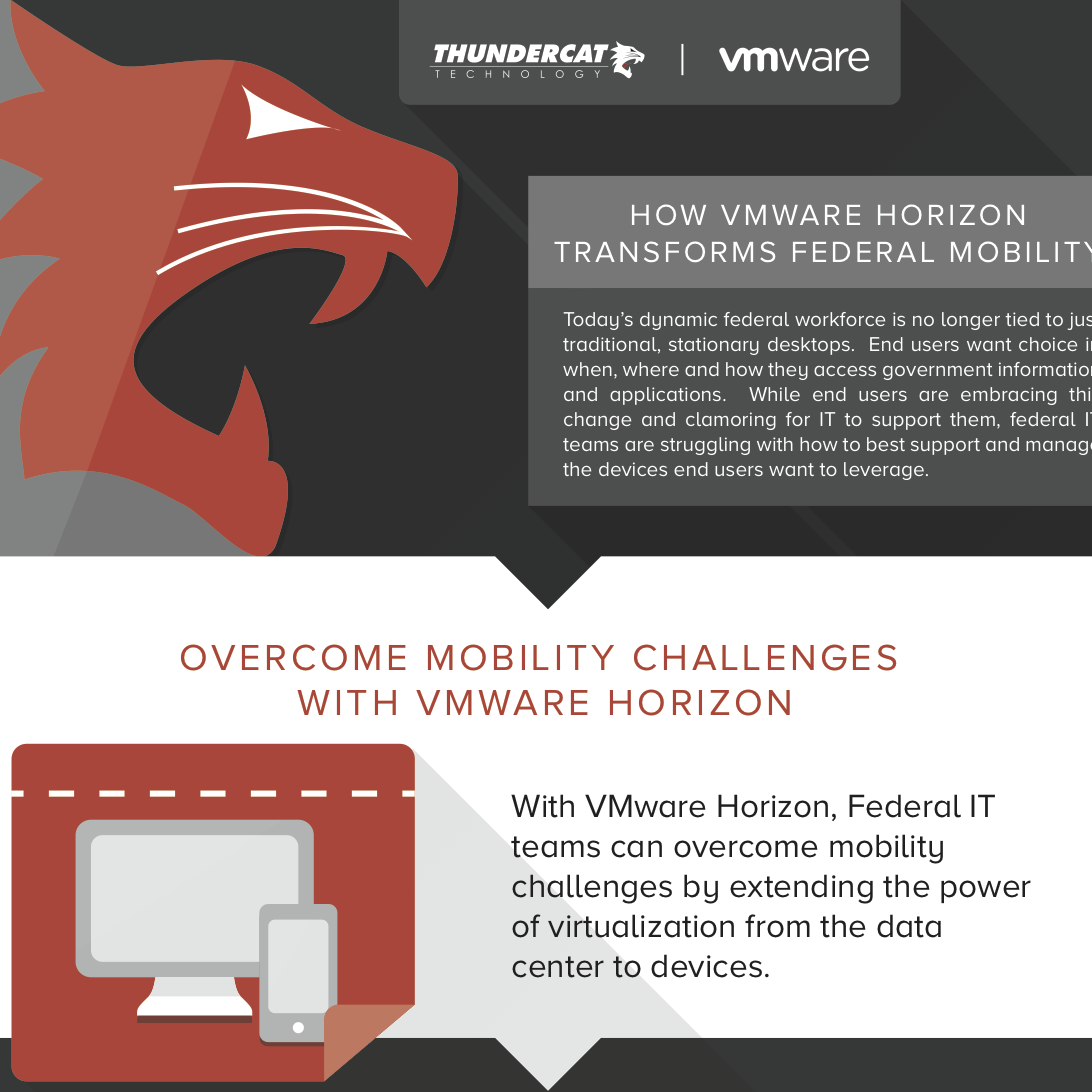 ThunderCat VMware Horizon - ThunderCat Technology
