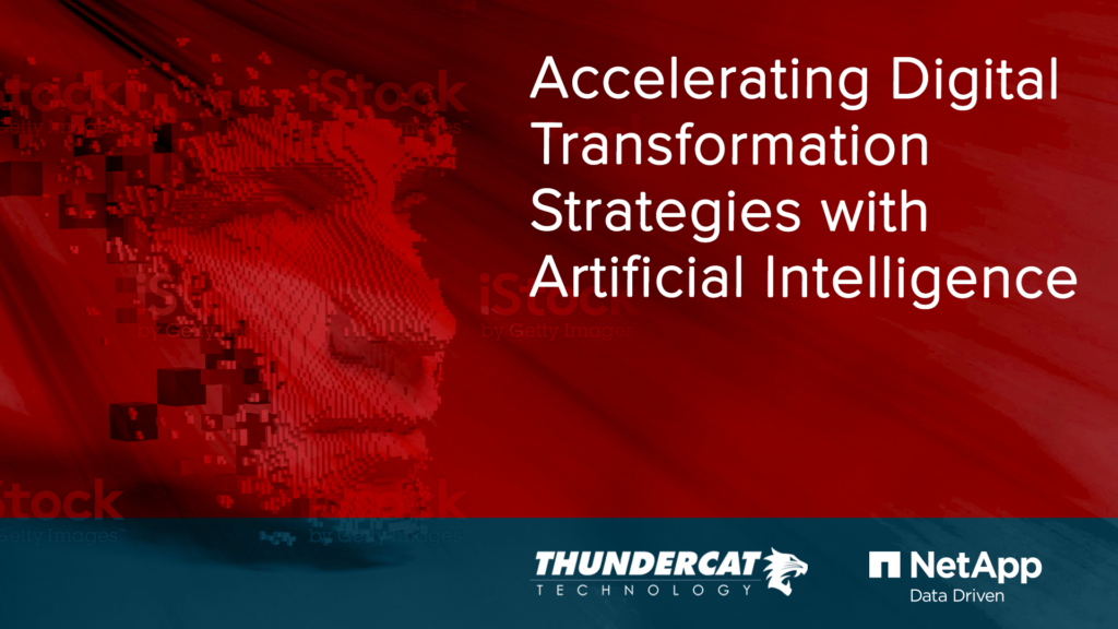 NetApp - ThunderCat Technology